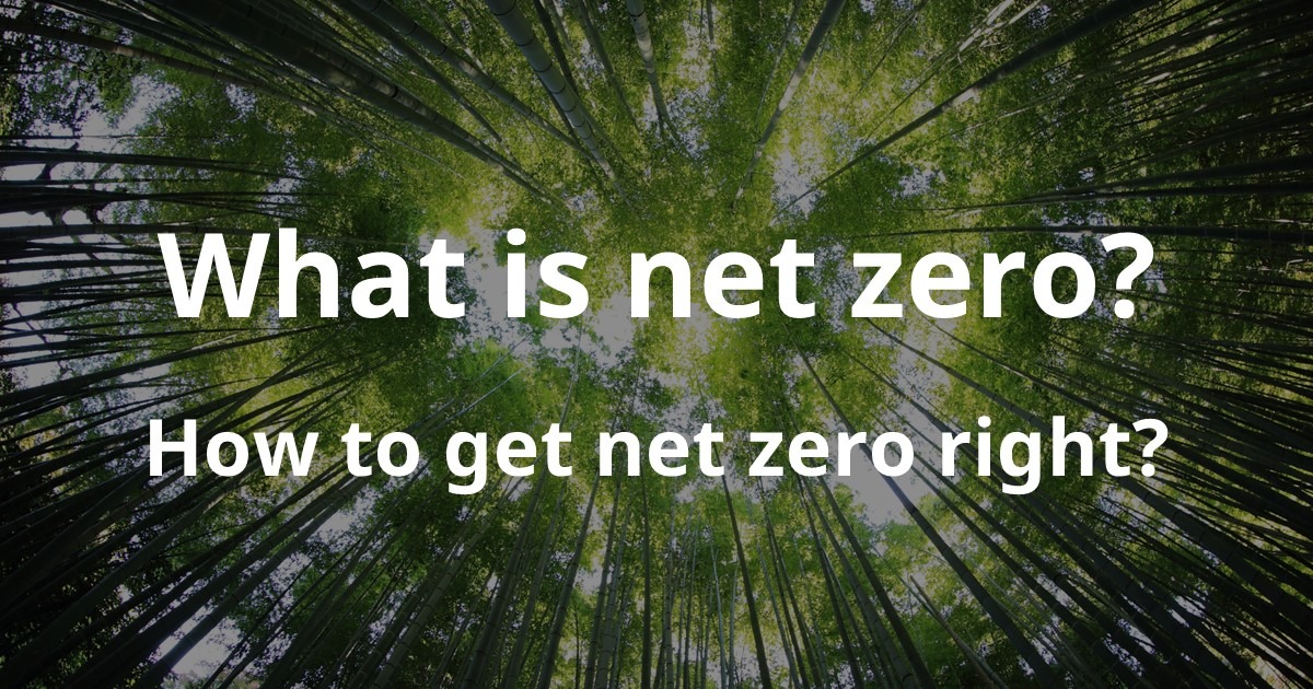 What is net zero? How to get net zero right? - renouvo