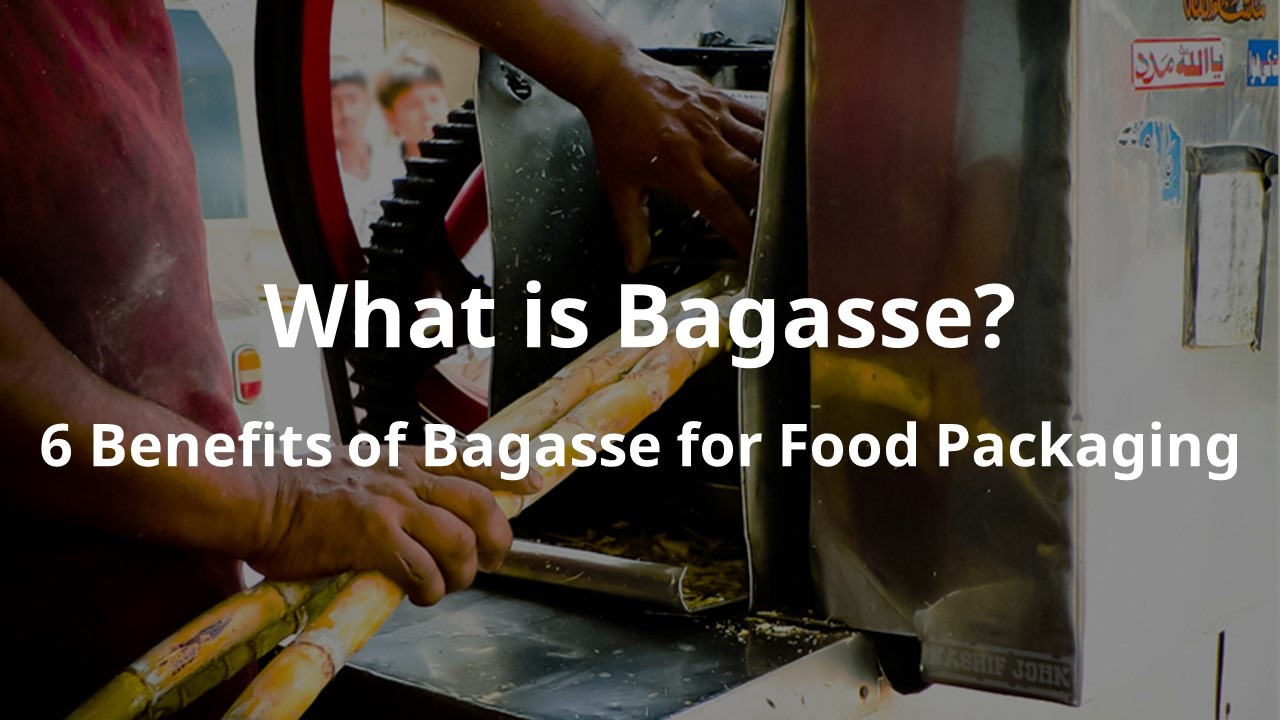 What is Bagasse? 6 Benefits of Bagasse for Food Packaging - renouvo