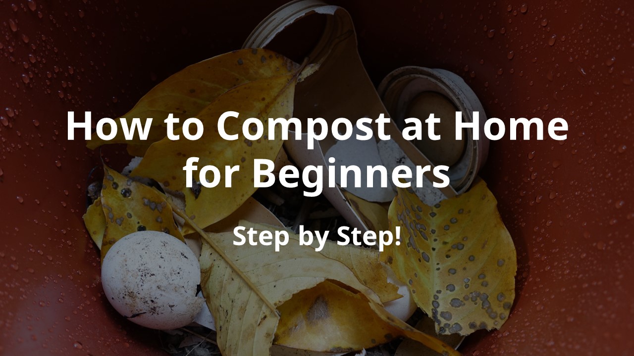 How to Compost at Home for Beginners Step by Step! - renouvo