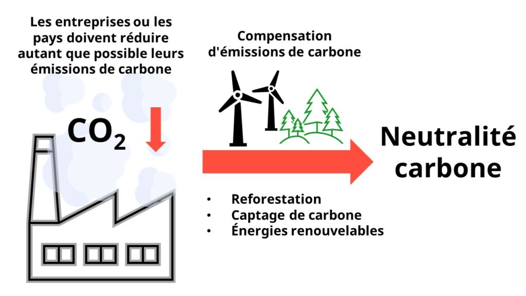 Qu’est-ce que la neutralité carbone ? Quels sont les avantages pour les ...