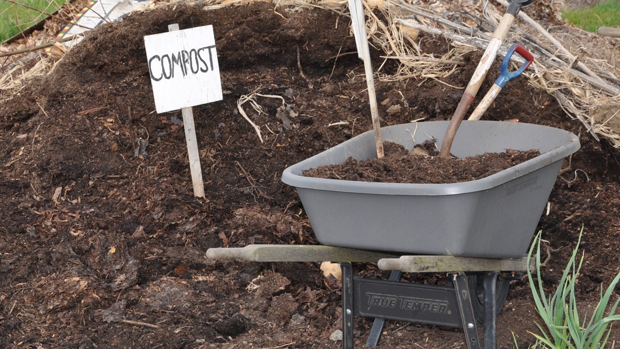 What is Compostable What to and Not to Compost - renouvo