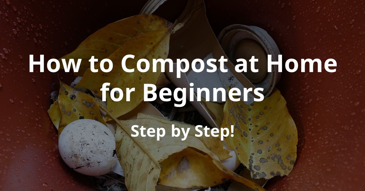 How to Compost at Home for Beginners Step by Step! - renouvo