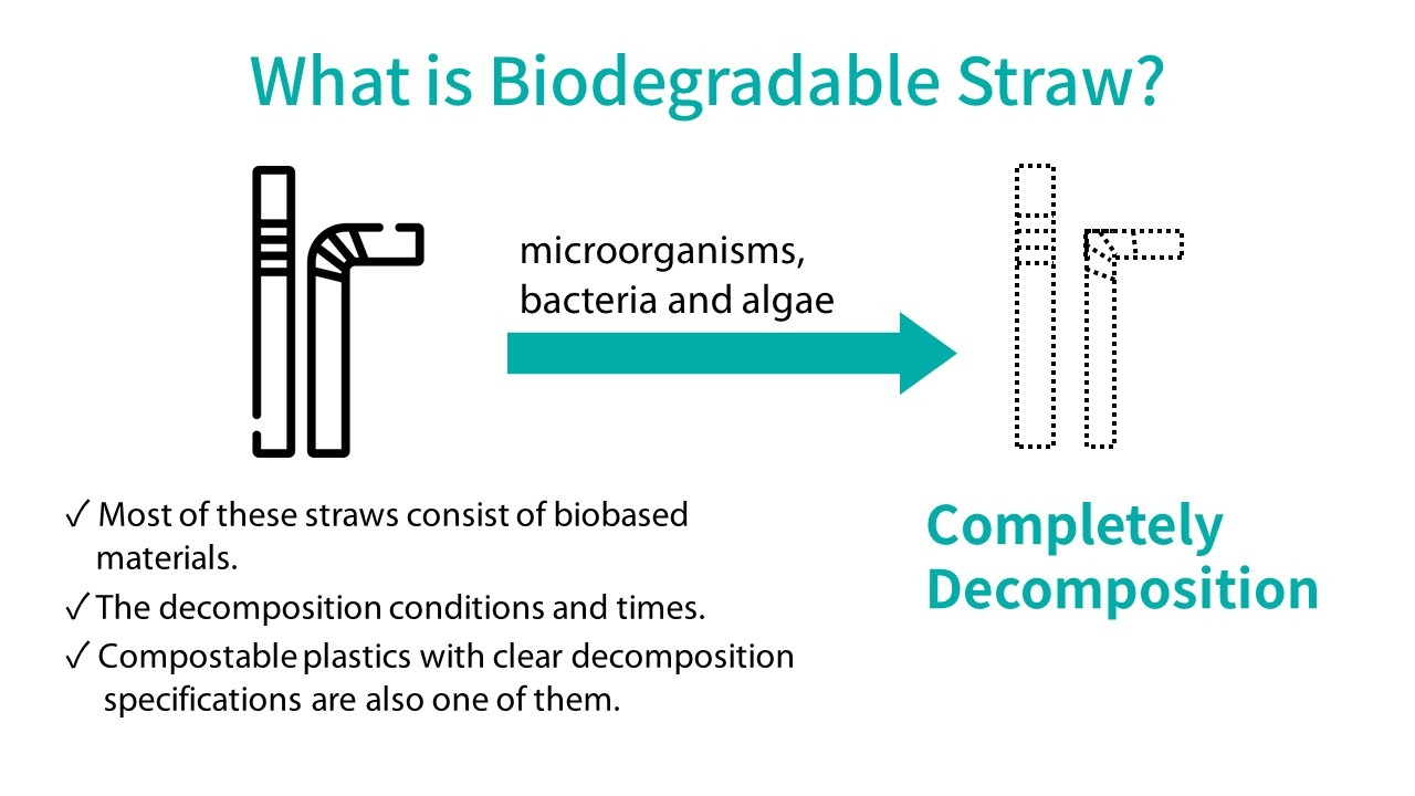 6 Benefits of Biodegradable Straws are Better for the Environment - renouvo