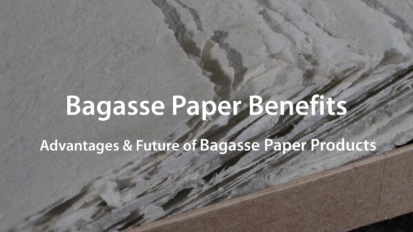 What is Bagasse Paper Benefits of Bagasse Paper Products - renouvo
