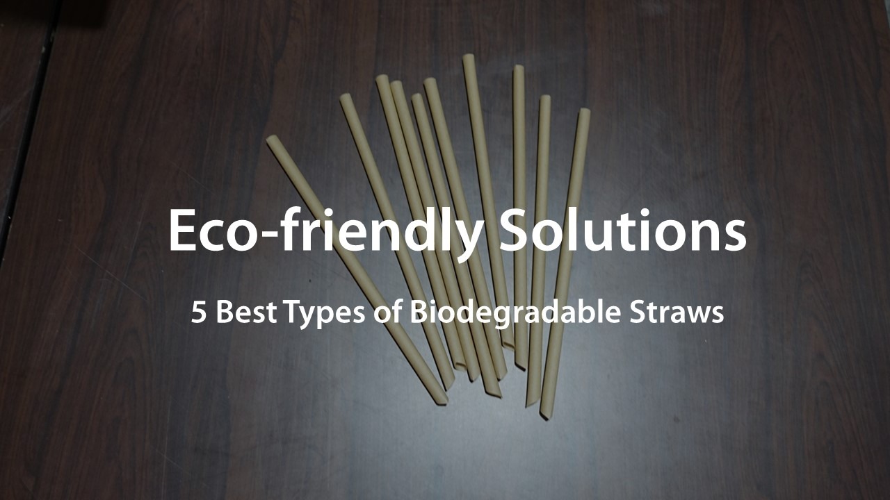 5 Best types of Biodegradable Straws are Eco-friendly Solutions - renouvo