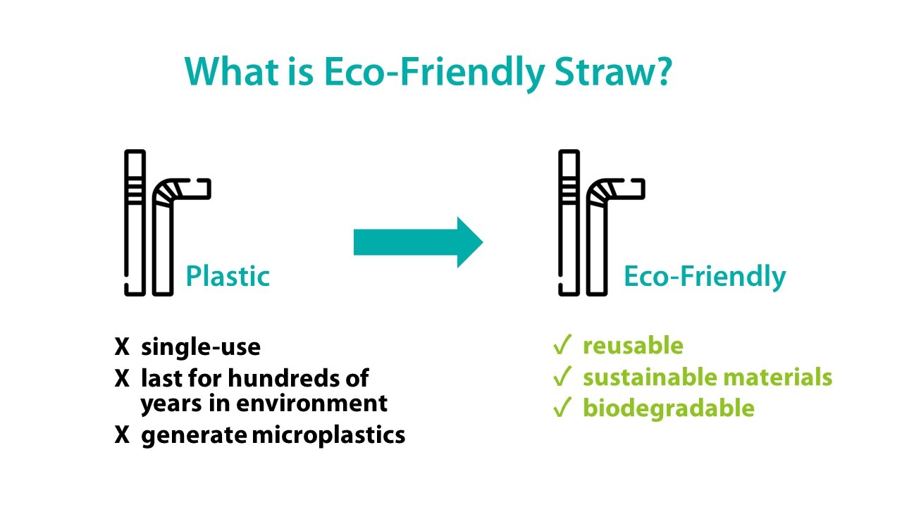 2023 Best Eco-Friendly Straws: Biodegradable and Compostable - renouvo