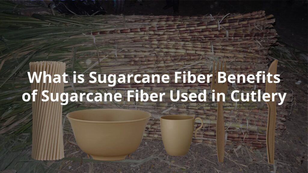 What is Sugarcane Fiber Benefits of Sugarcane Fiber Used in Cutlery ...