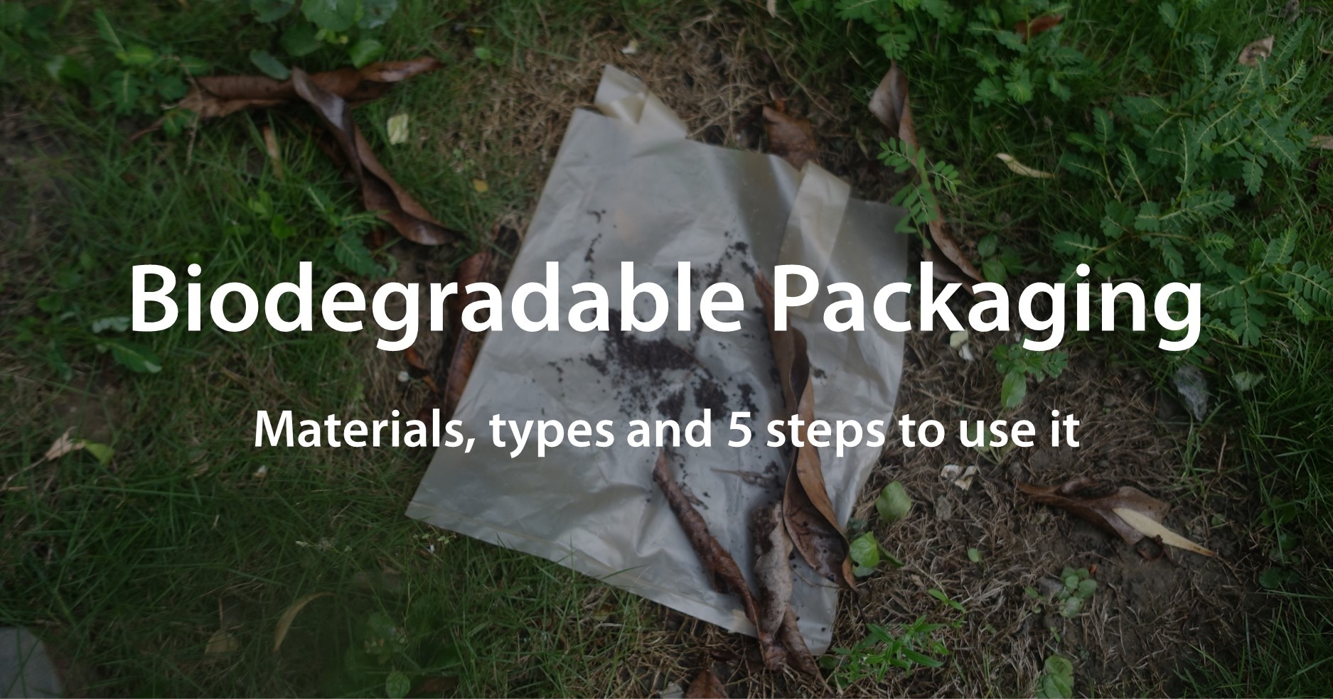 Biodegradable Packaging Materials Types and 5 Steps to Use it - renouvo