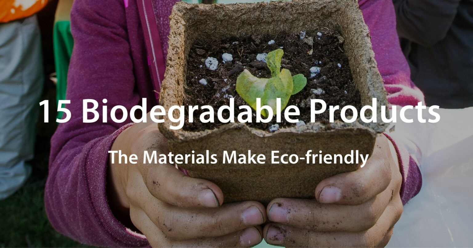 renouvo（formerly 100%ZHI）｜Compostable Sugarcane Tableware