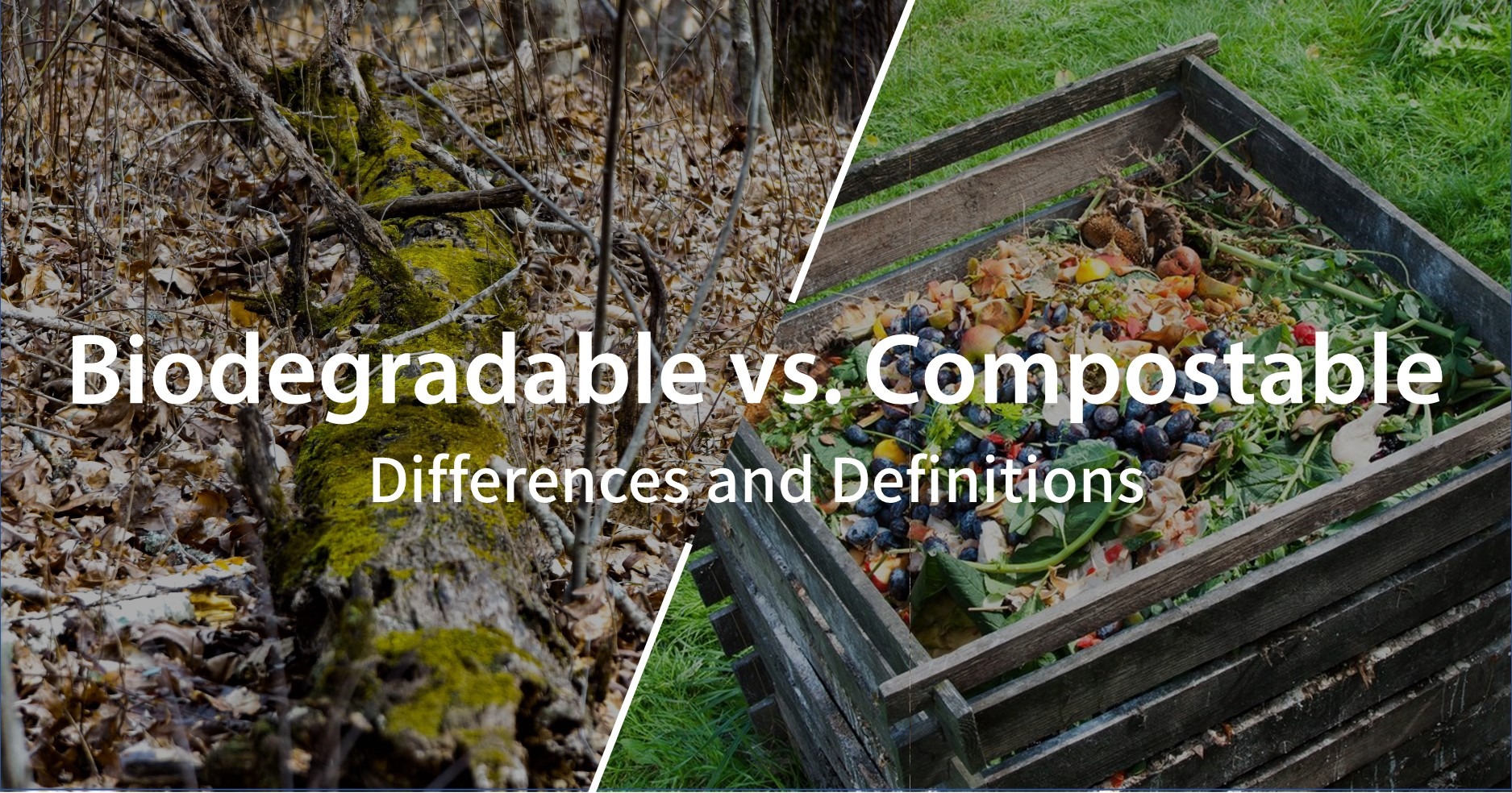 Biodegradable vs. Compostable Differences and Definitions - renouvo