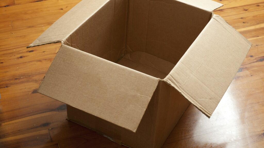 Biodegradable Packaging Materials Types and 5 Steps to Use it - renouvo