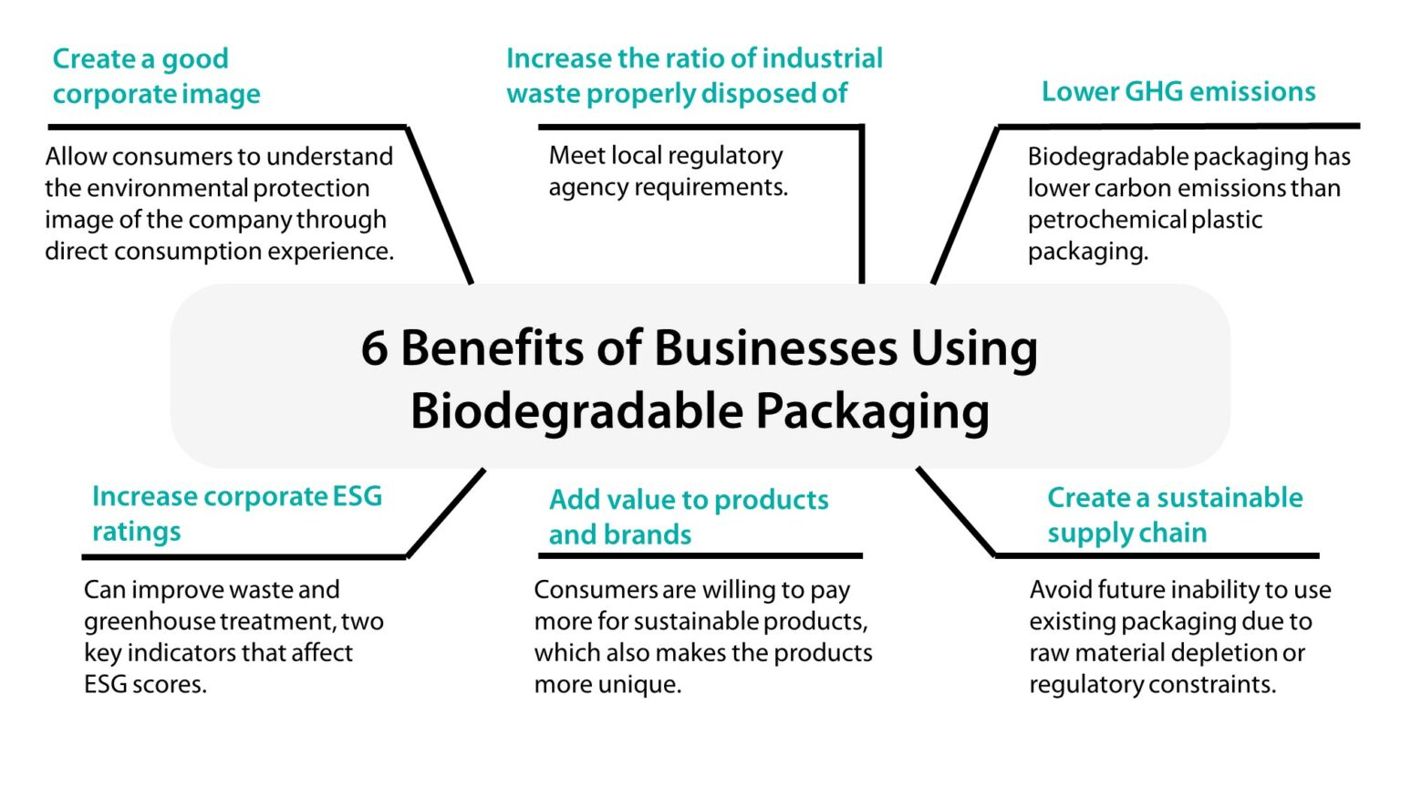 Biodegradable Packaging Materials Types and 5 Steps to Use it - renouvo