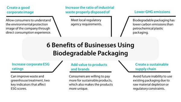 Biodegradable Packaging Materials Types and 5 Steps to Use it - renouvo