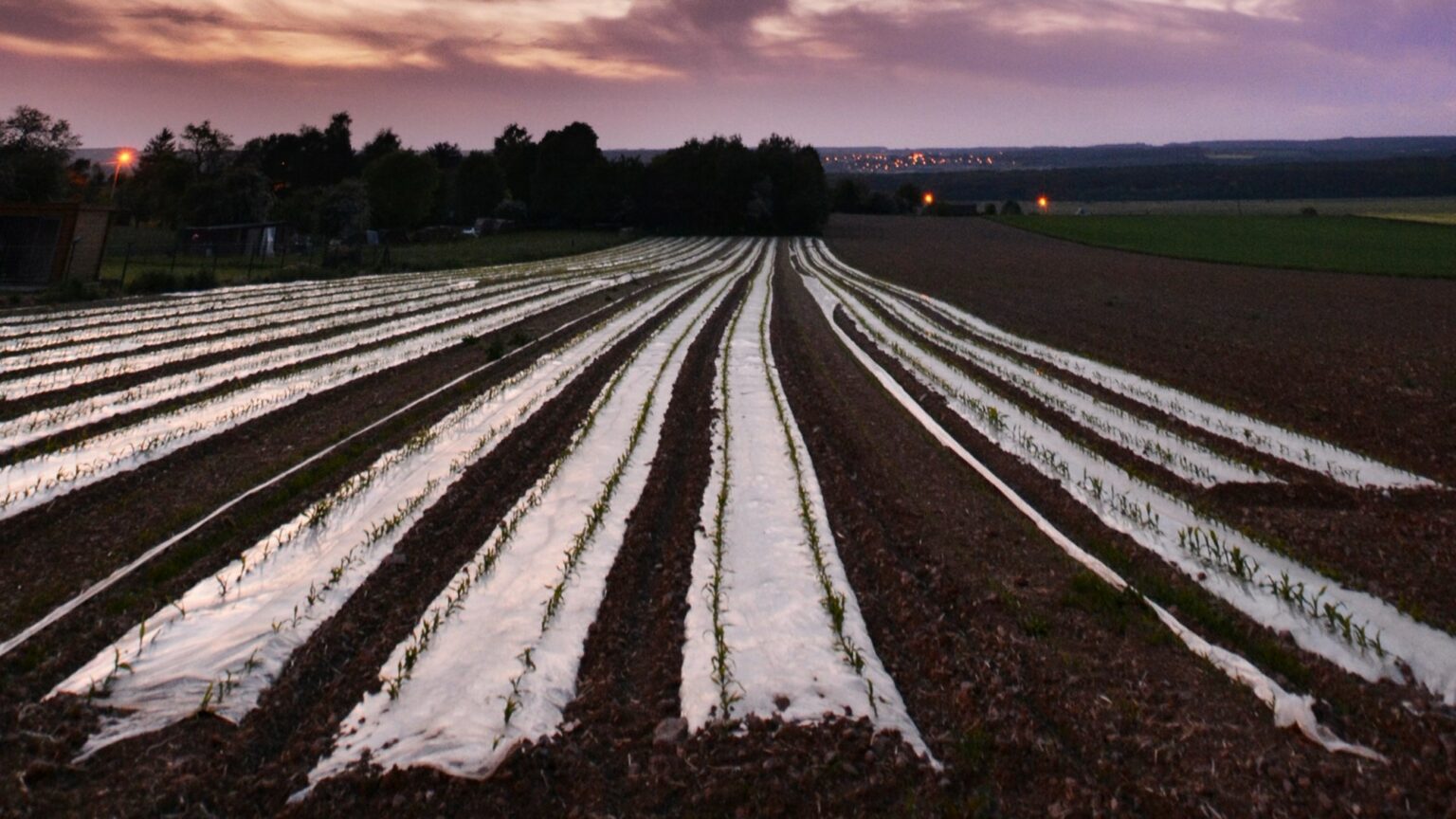 15 Biodegradable Products The Materials Make Eco-friendly - renouvo