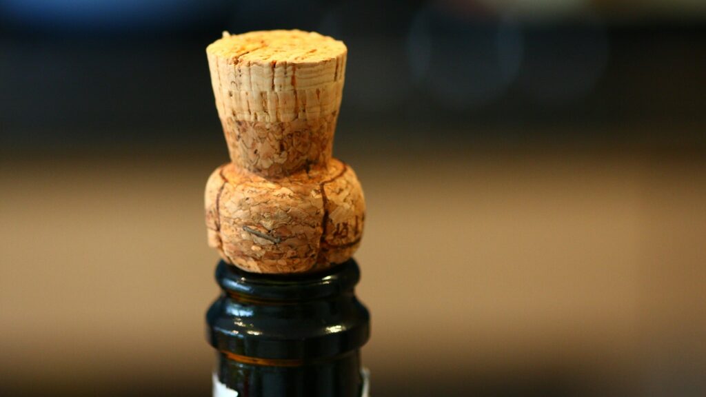 15 Biodegradable Products The Materials Make Eco-friendly - renouvo