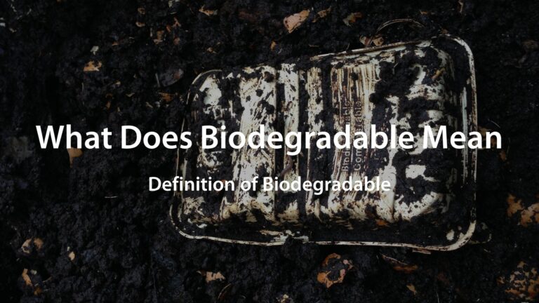 What Does Biodegradable Mean Definition of Biodegradable - renouvo