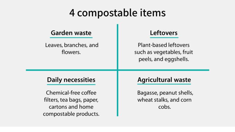 What is Compostable What to and Not to Compost - renouvo