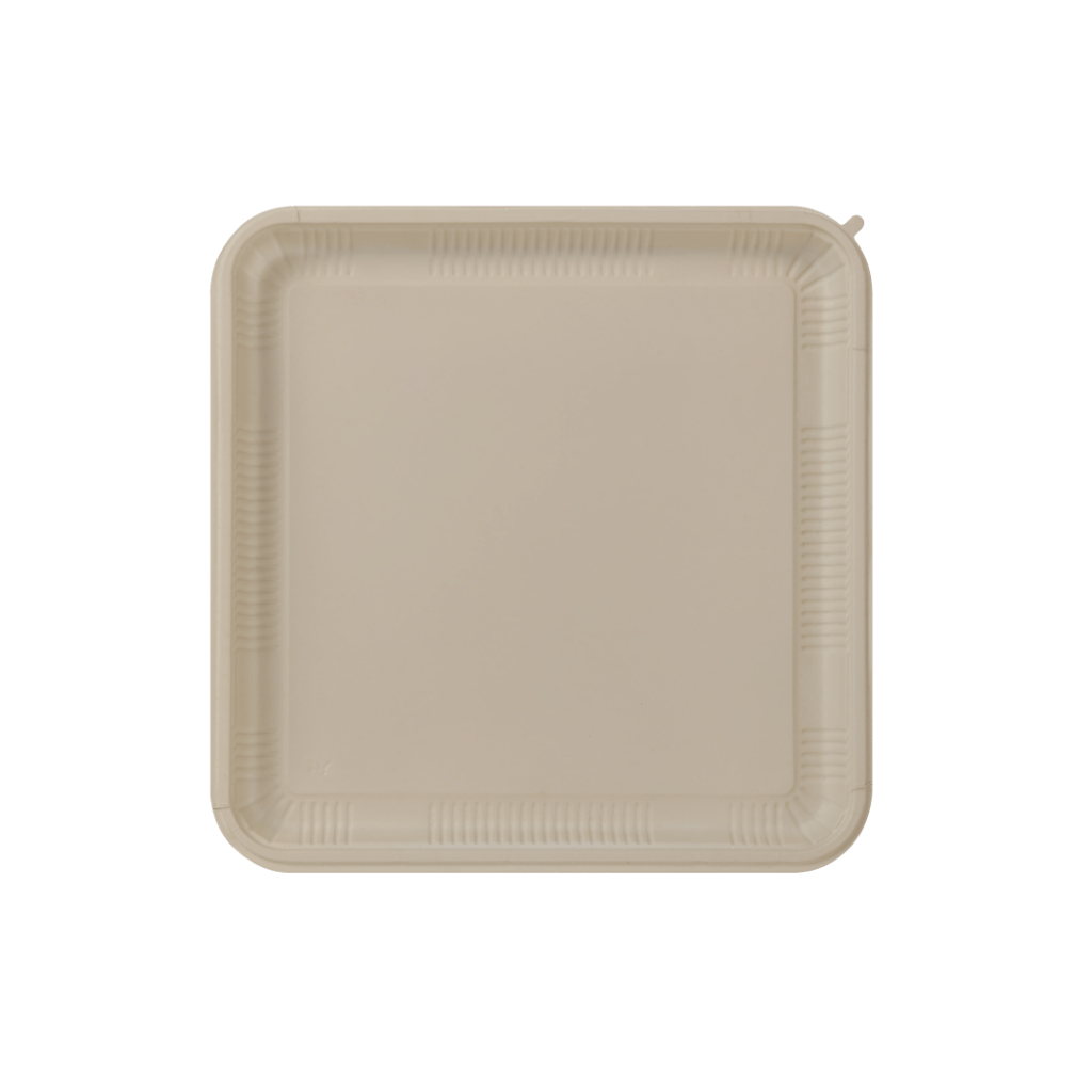 Compostable Sugarcane Trays - renouvo