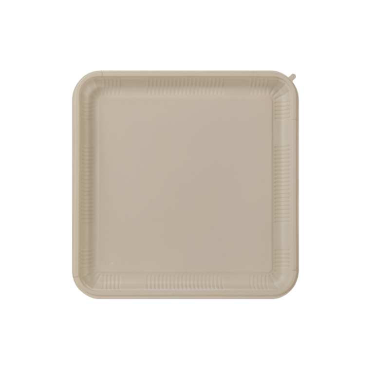 Compostable Sugarcane Lunch Trays - renouvo