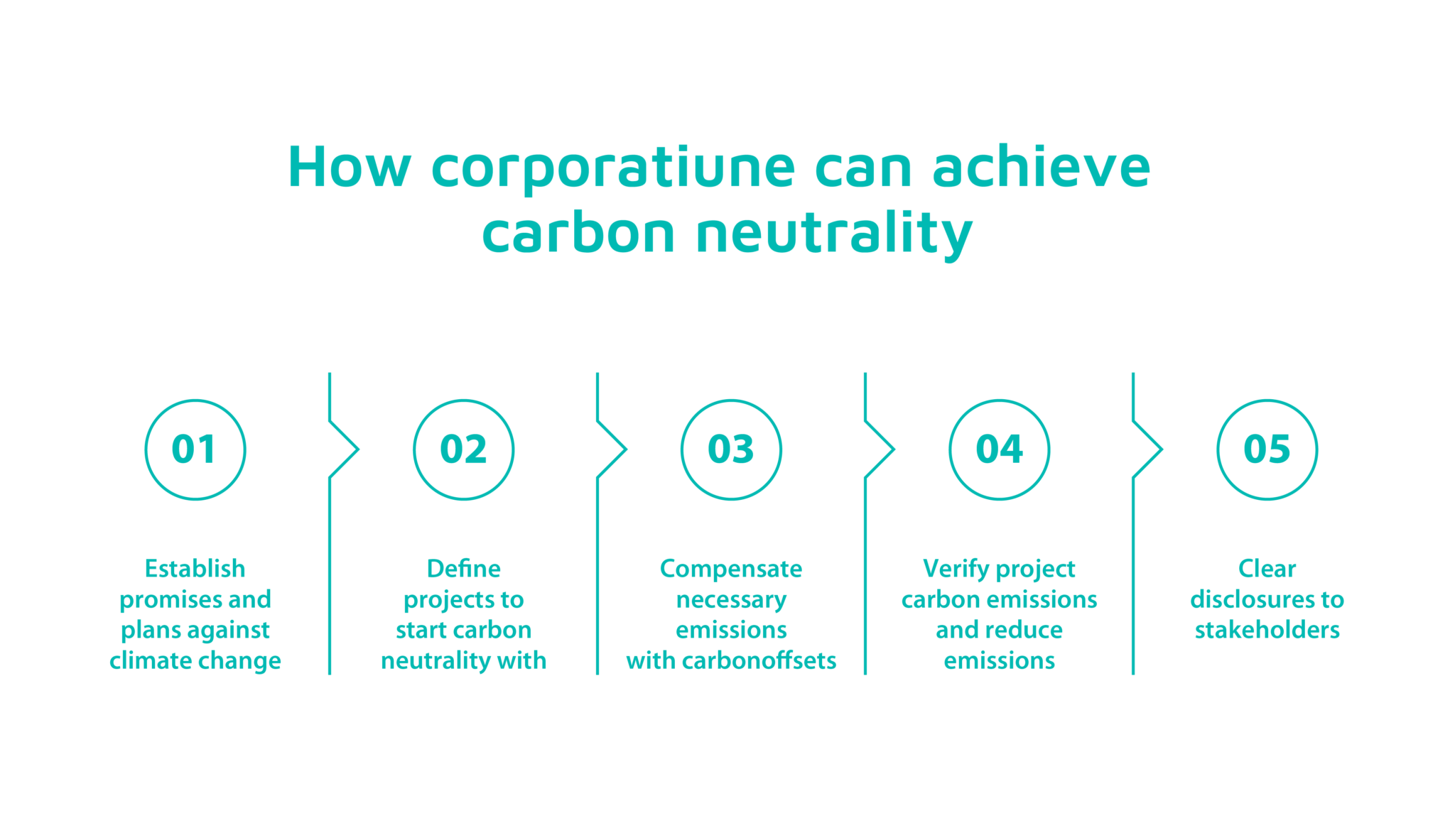 What is carbon neutrality? How do we achieve by 2050? - renouvo