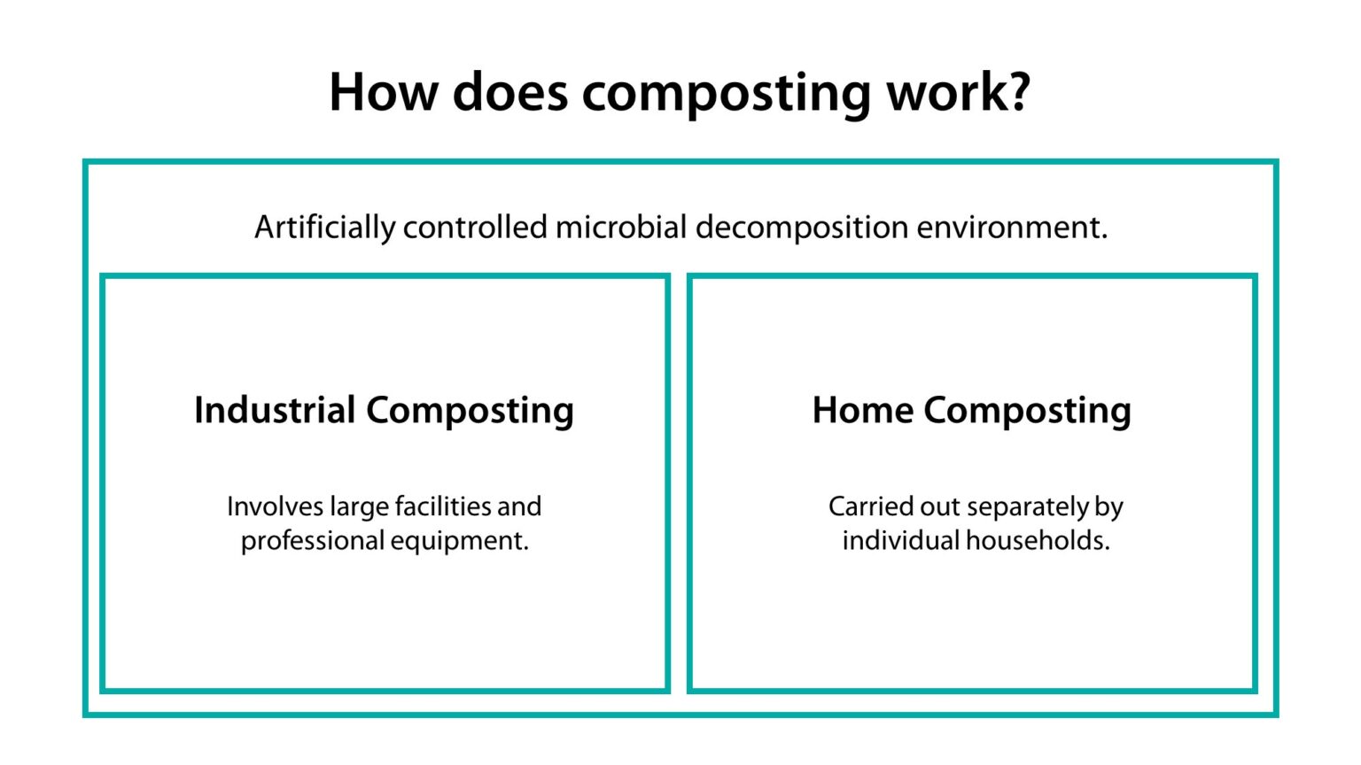 114 Compostable Items: Office, Home, and Food Packaging - renouvo