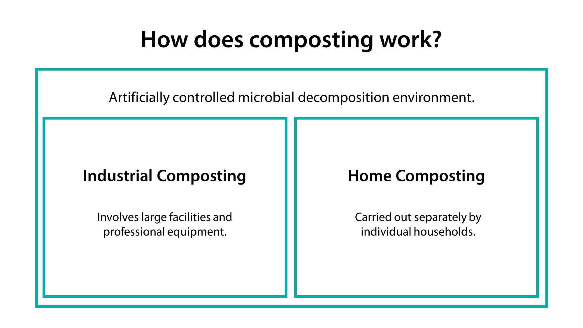 114 Compostable Items: Office, Home, and Food Packaging - renouvo