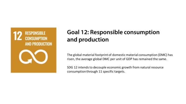 What is Goal 12? Responsible consumption and production - renouvo