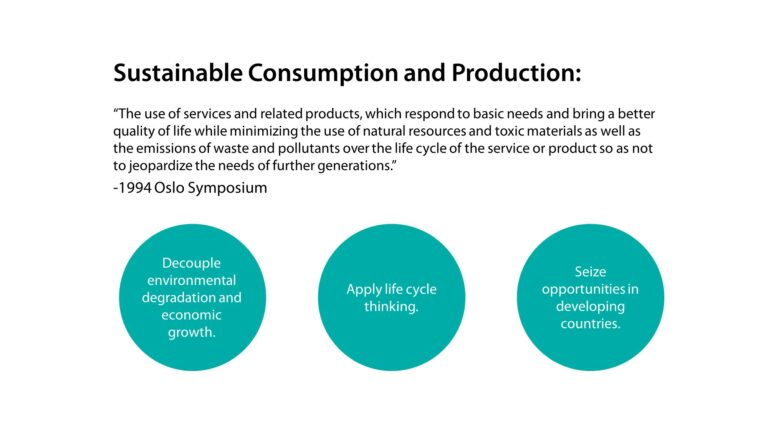 What is Goal 12? Responsible consumption and production - renouvo