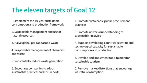 What is Goal 12? Responsible consumption and production - renouvo