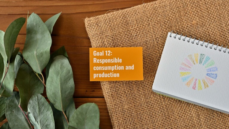 What is Goal 12? Responsible consumption and production - renouvo