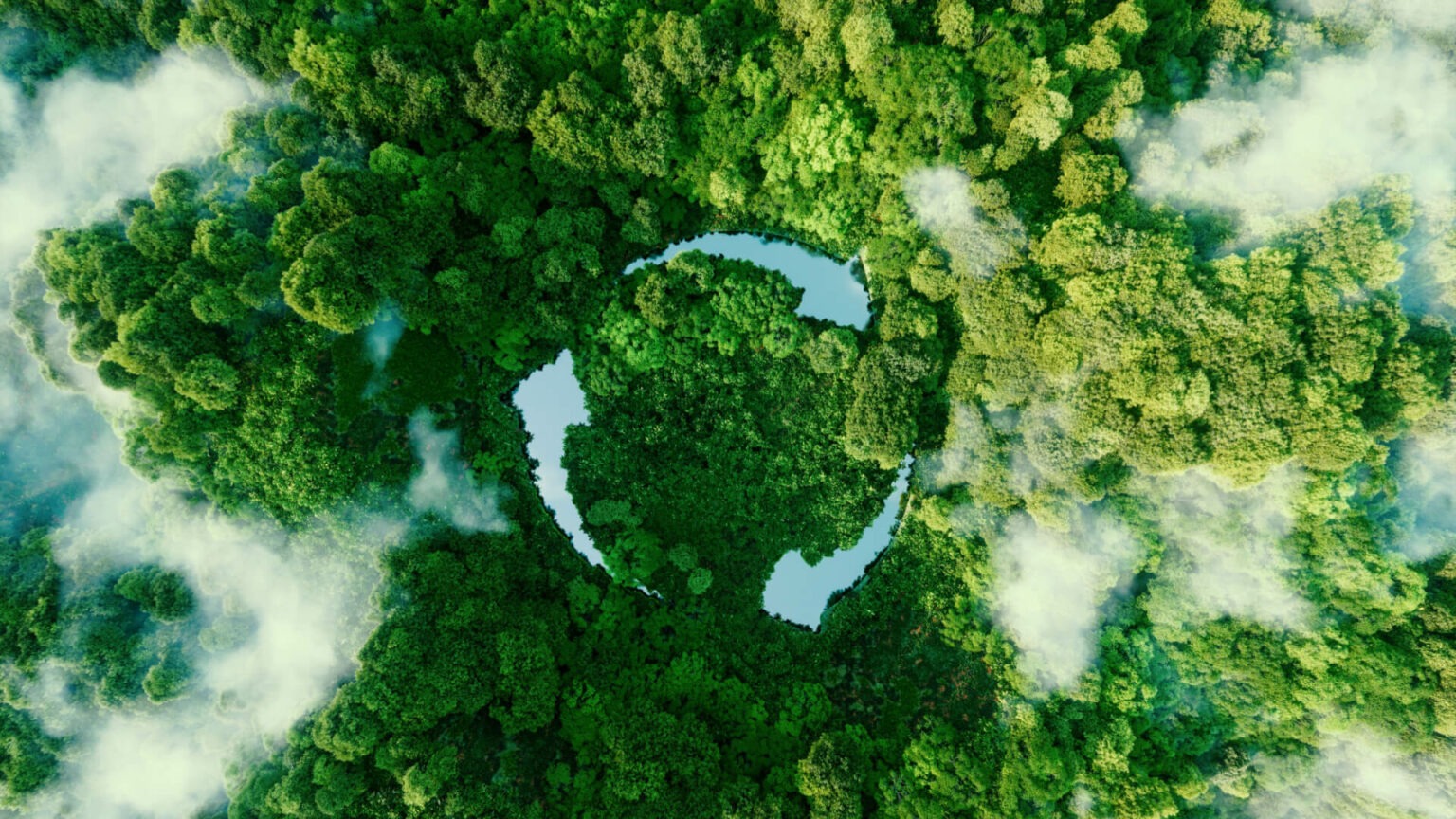 Why is the sustainable use of natural resources important? - renouvo