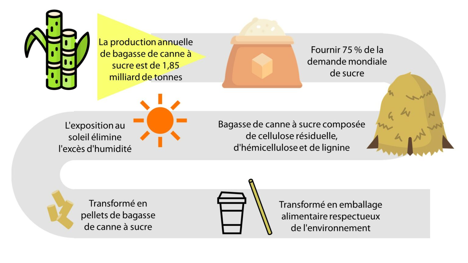 Qu’est-ce que la bagasse ? 6 avantages de la bagasse pour l’emballage ...