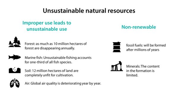 Why is the sustainable use of natural resources important? - renouvo