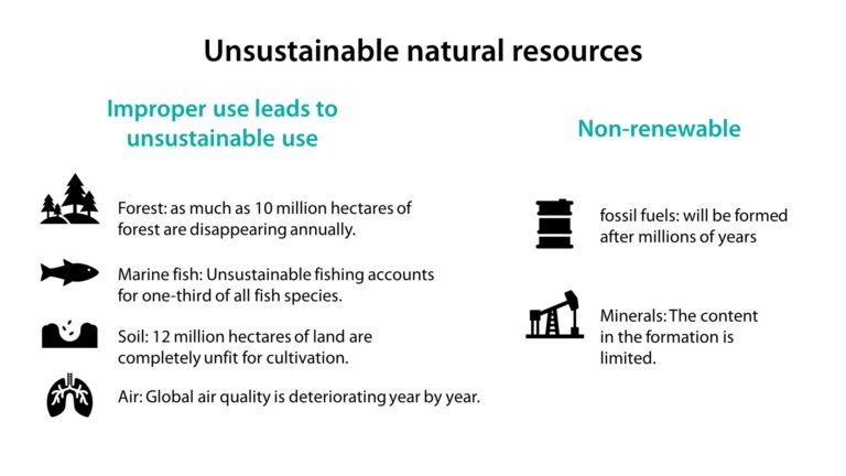 Why is the sustainable use of natural resources important? - renouvo