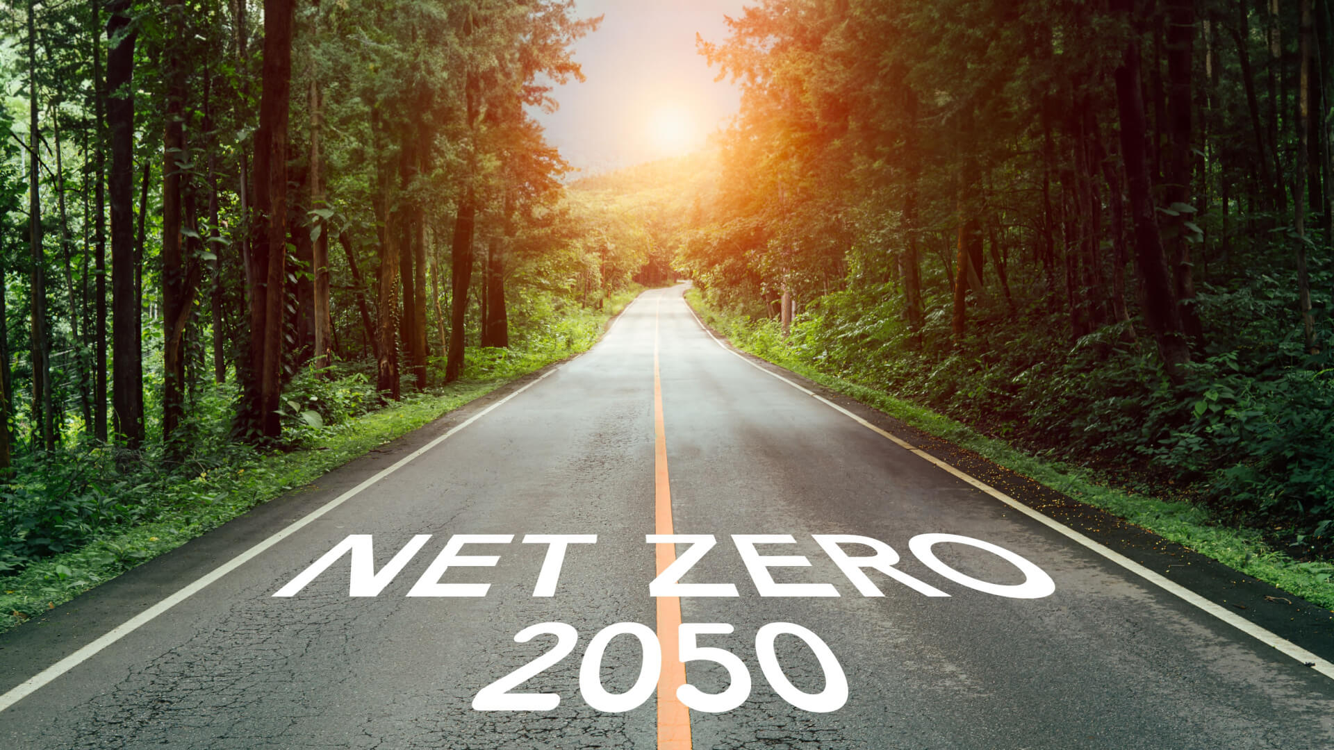 NET ZERO LÀ GÌ? LÀM THẾ NÀO ĐỂ ĐẠT ĐƯỢC NET ZERO? - renouvo