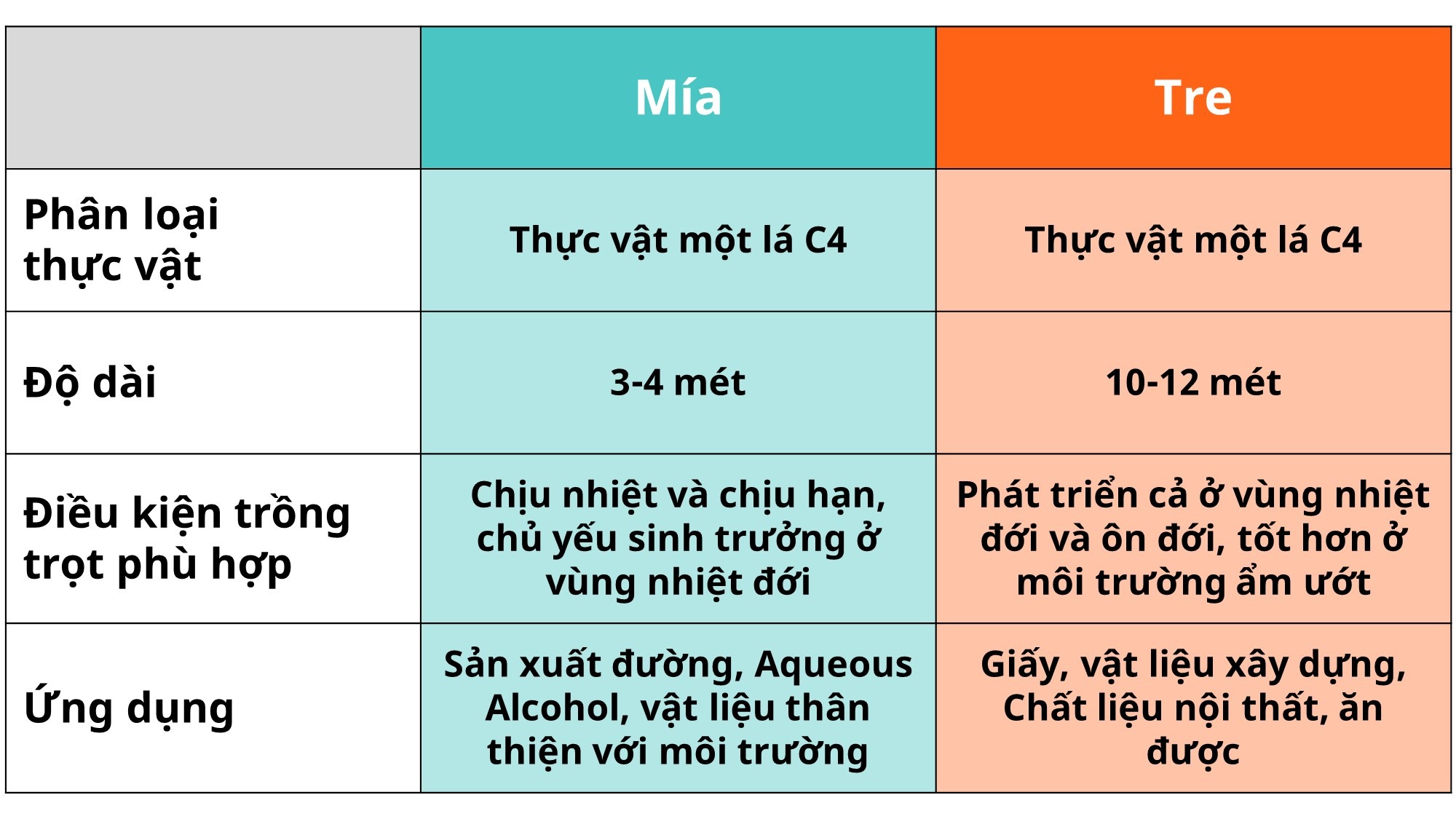 MÍA VS TRE: ĐIỂM KHÁC BIỆT, TÁC DỤNG VÀ SẢN PHẨM - renouvo