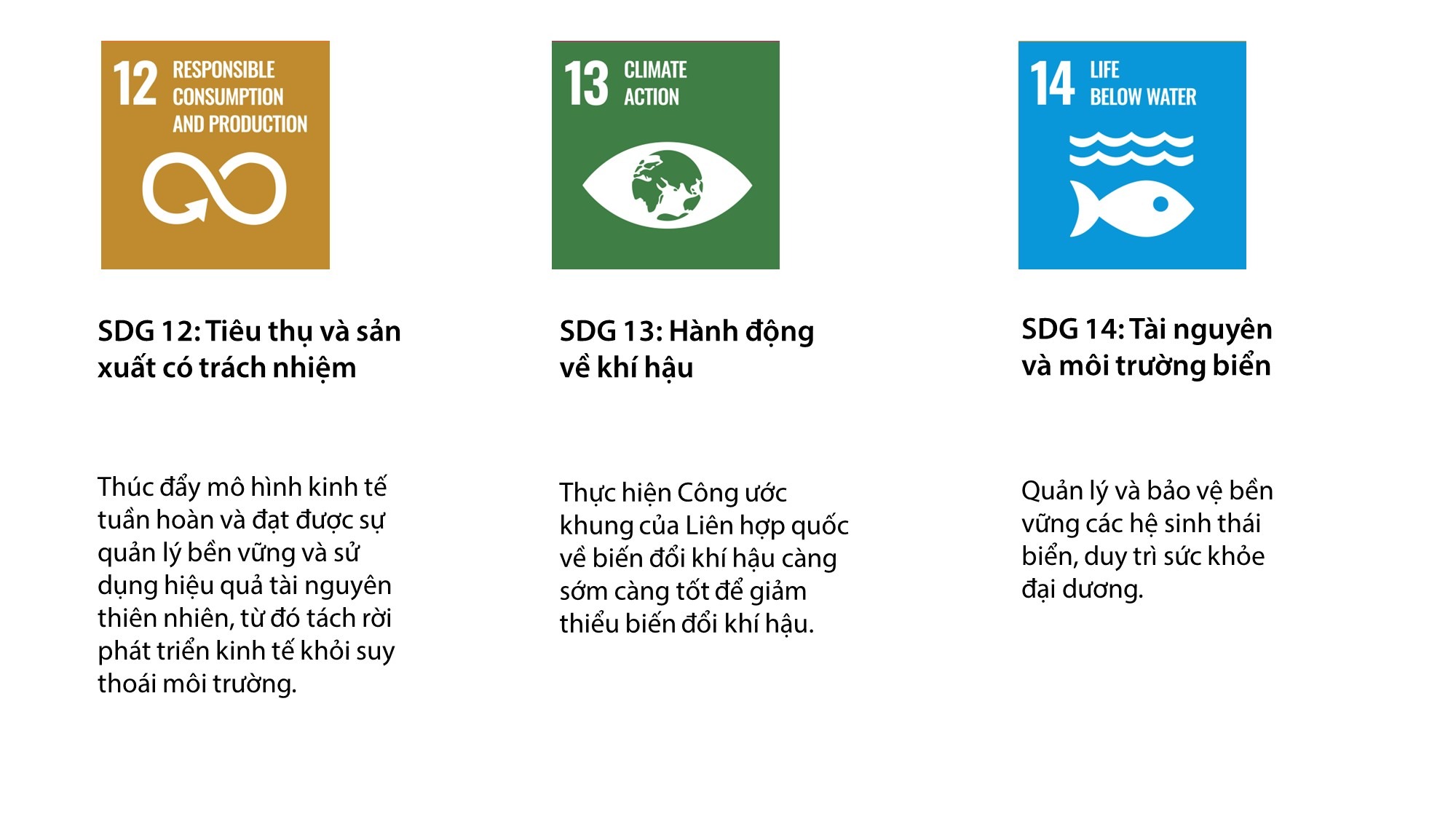 17 MỤC TIÊU: NHỮNG MỤC TIÊU PHÁT TRIỂN BỀN VỮNG LÀ GÌ? - renouvo