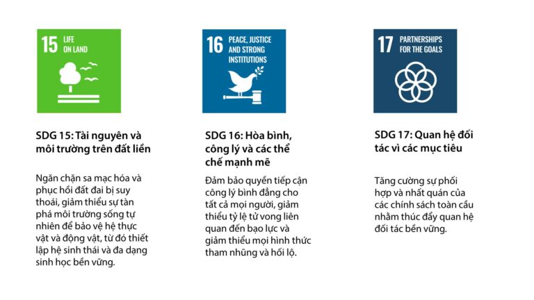 17 MỤC TIÊU: NHỮNG MỤC TIÊU PHÁT TRIỂN BỀN VỮNG LÀ GÌ? - renouvo