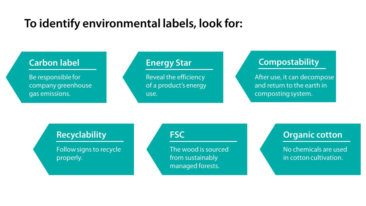 30 Eco-friendly products allow you to be to be more eco-friendly! - renouvo