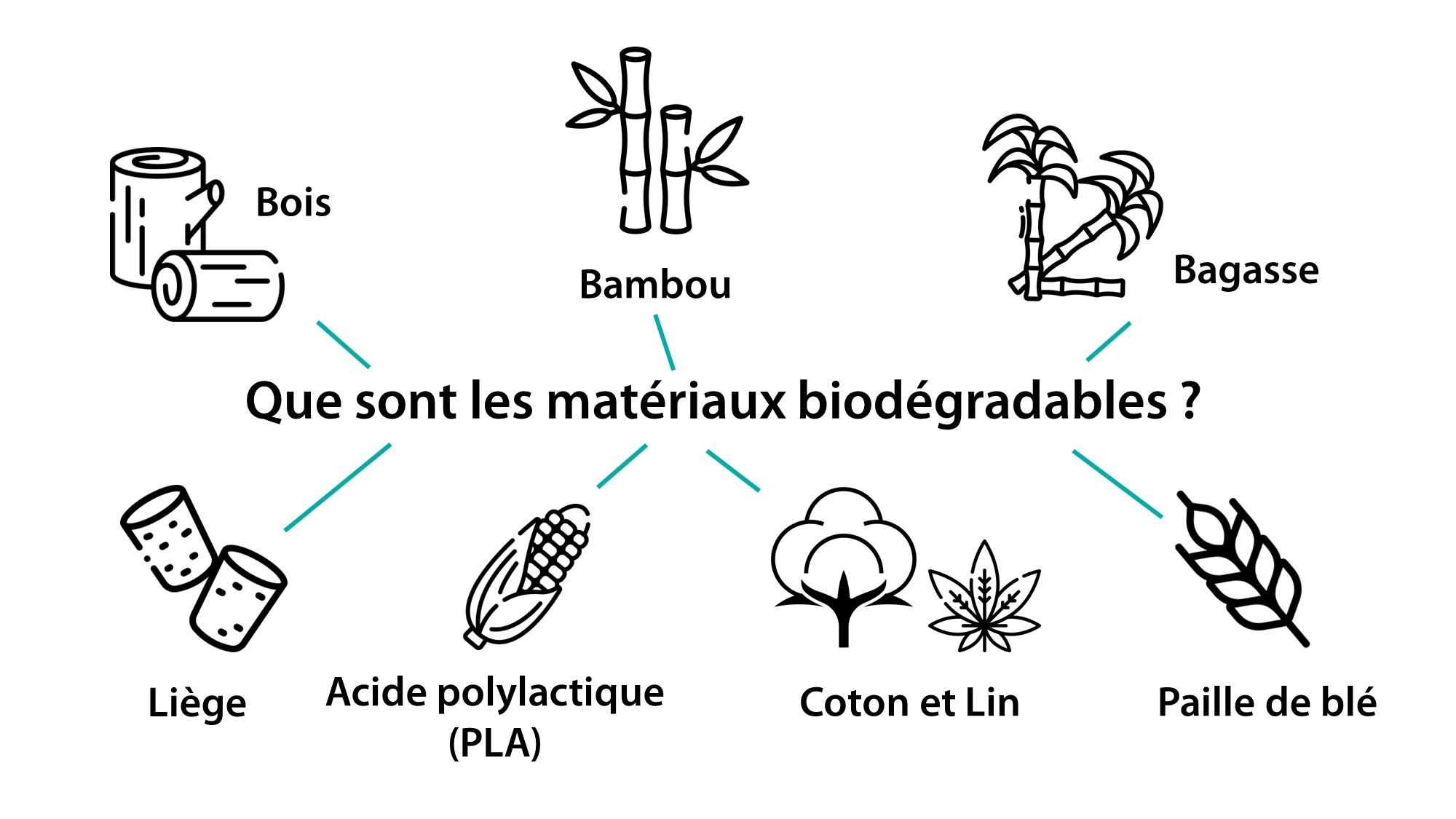 15 produits « biodégradables » : des matériaux biodégradables plus respectueux de l ...