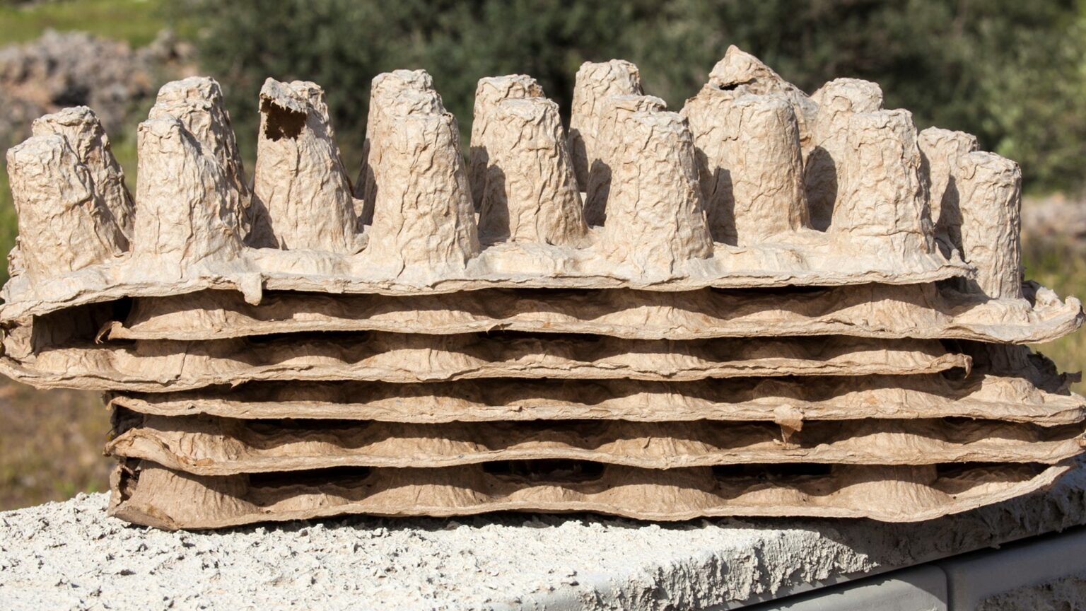 15 produits « biodégradables » : des matériaux biodégradables plus ...