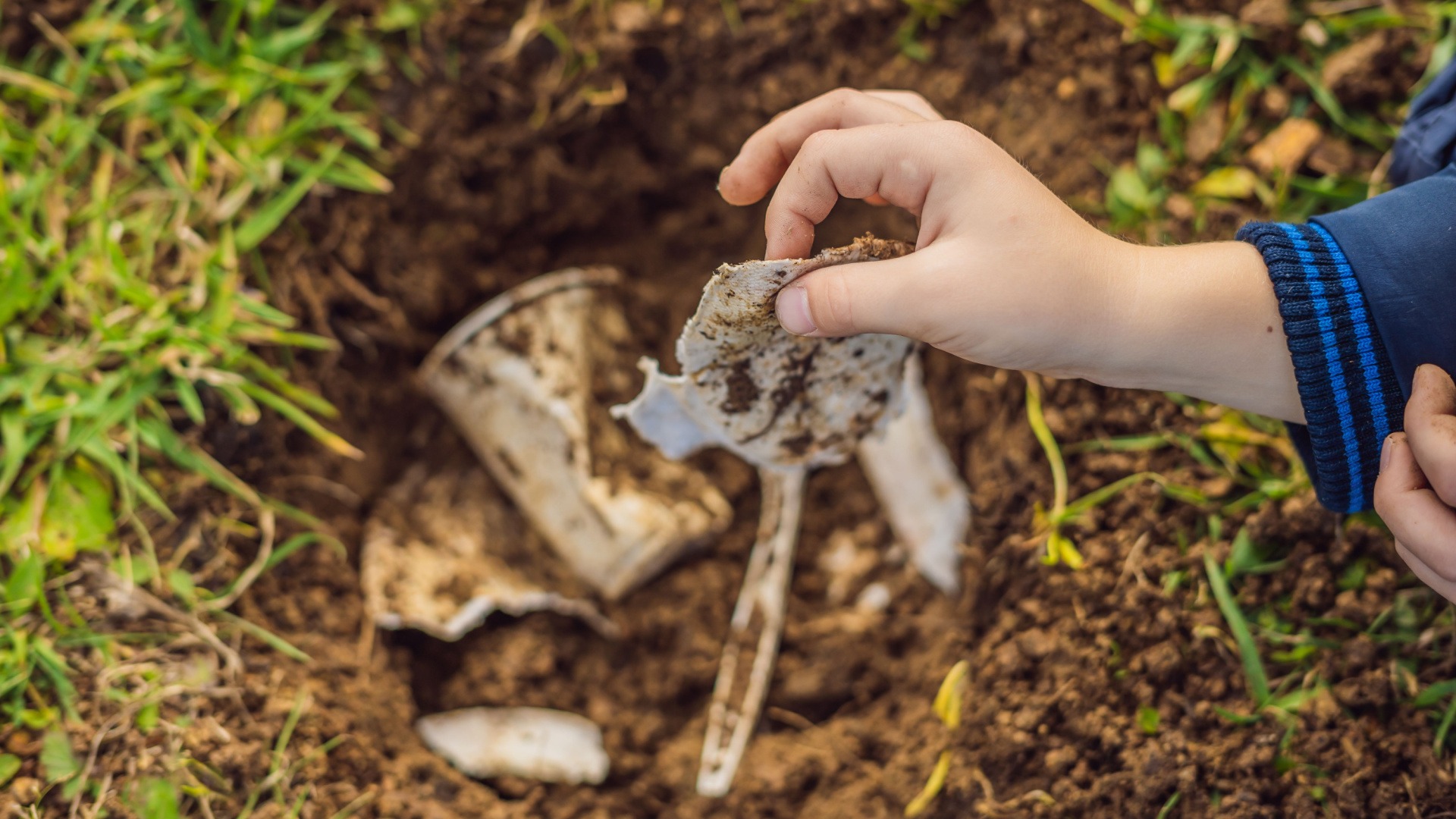 Qu'est-ce que la « biodégradabilité » : la biodégradabilité est-elle ...