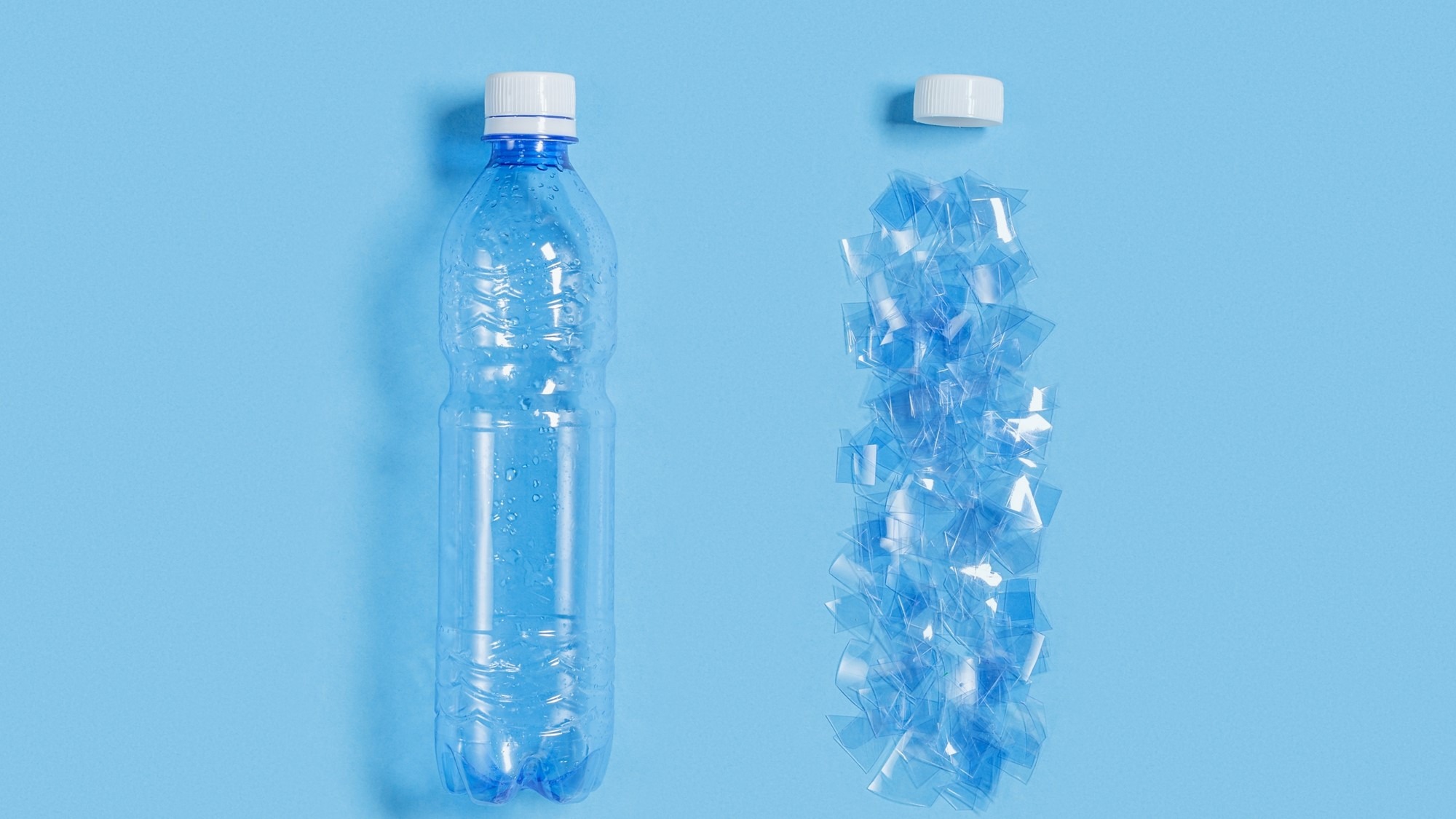 What are biodegradable plastics? Differences between bioplastic and ... What are biodegradable plastics? Differences between bioplastic and ...