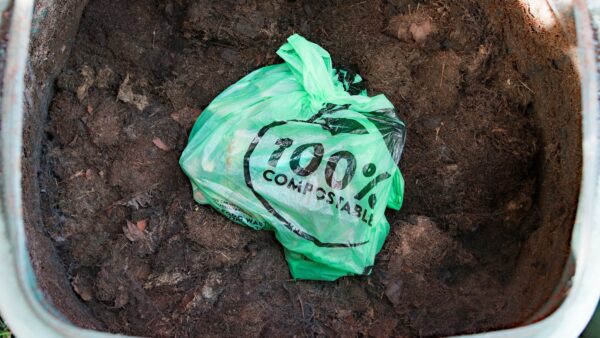 What are biodegradable plastics? Differences between bioplastic and ... What are biodegradable plastics? Differences between bioplastic and ...