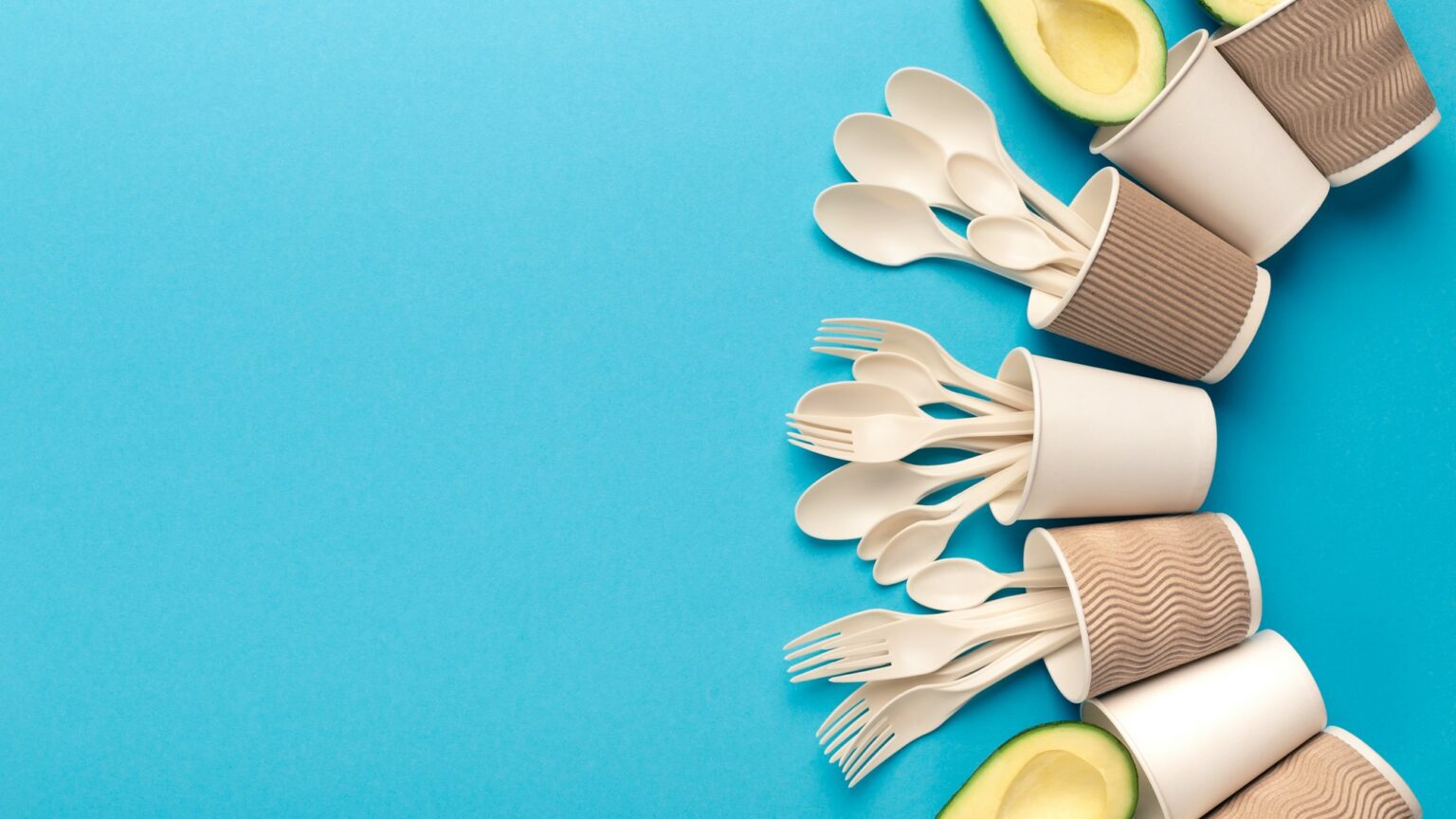 What is bioplastic? Types of bioplastics: PLA and PHA - renouvo