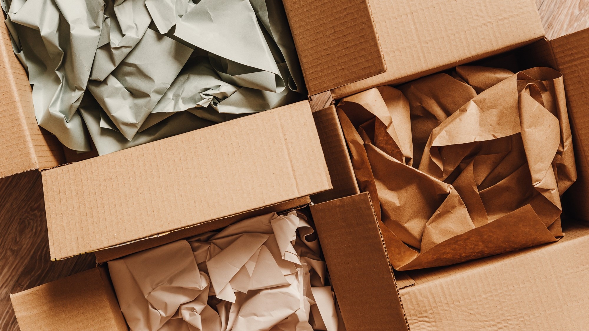 What is bioplastic? Types of bioplastics: PLA and PHA - renouvo