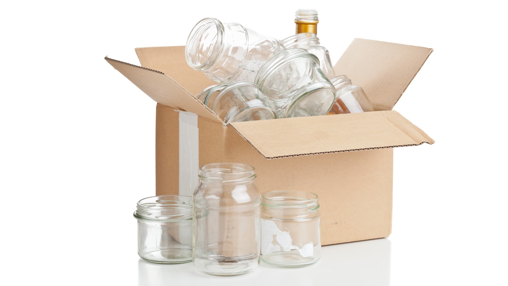 What is bioplastic? Types of bioplastics: PLA and PHA - renouvo