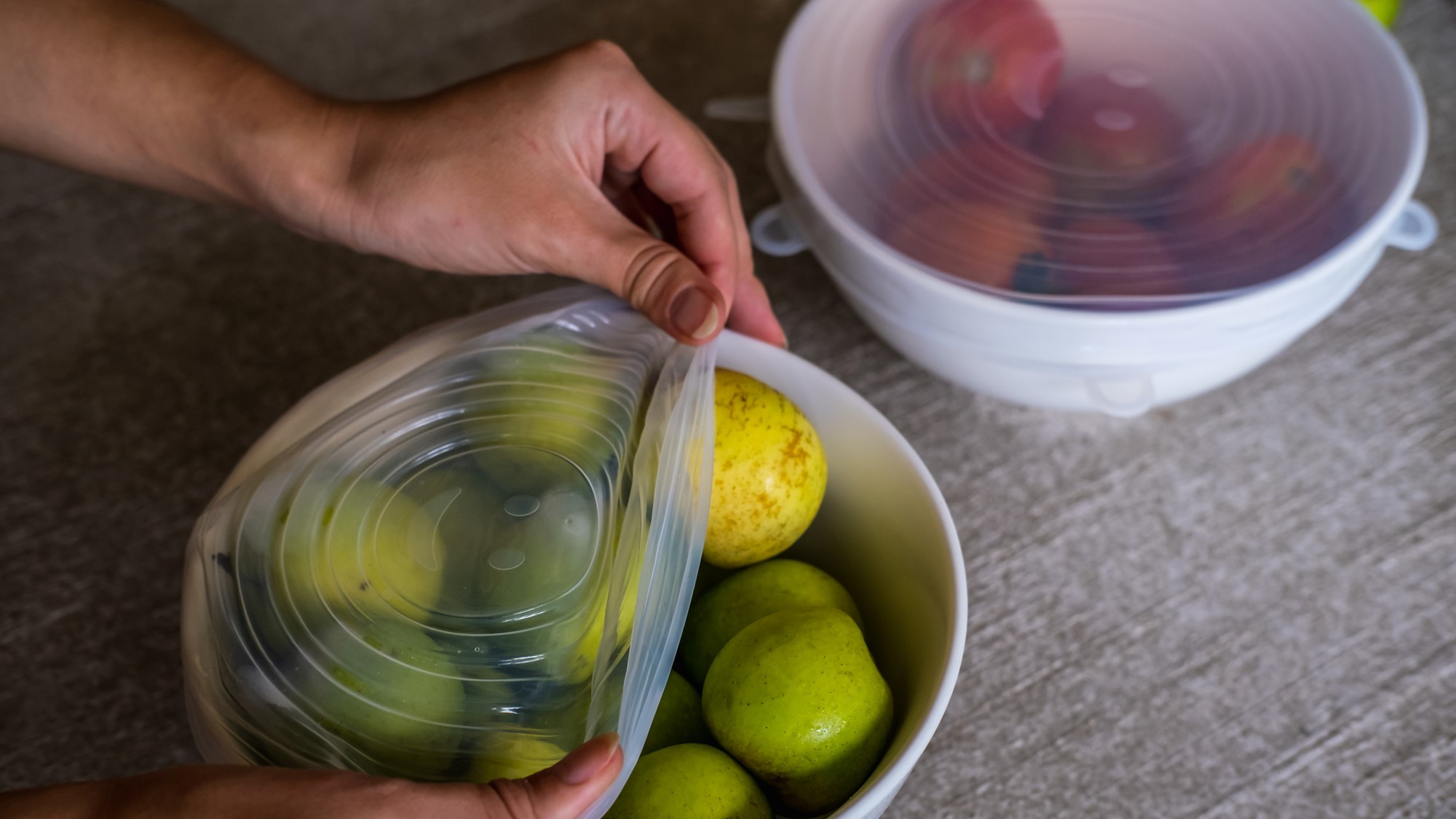 What is bioplastic? Types of bioplastics: PLA and PHA - renouvo