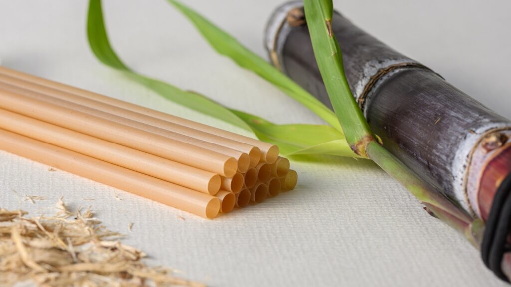 Which plants can be made into straws? Differences between seven types ...