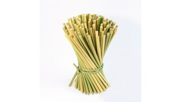 Which plants can be made into straws? Differences between seven types ...